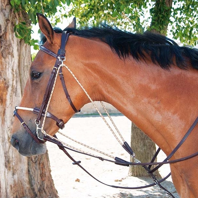 TdeT - Gogue - Fière Allure Equitation